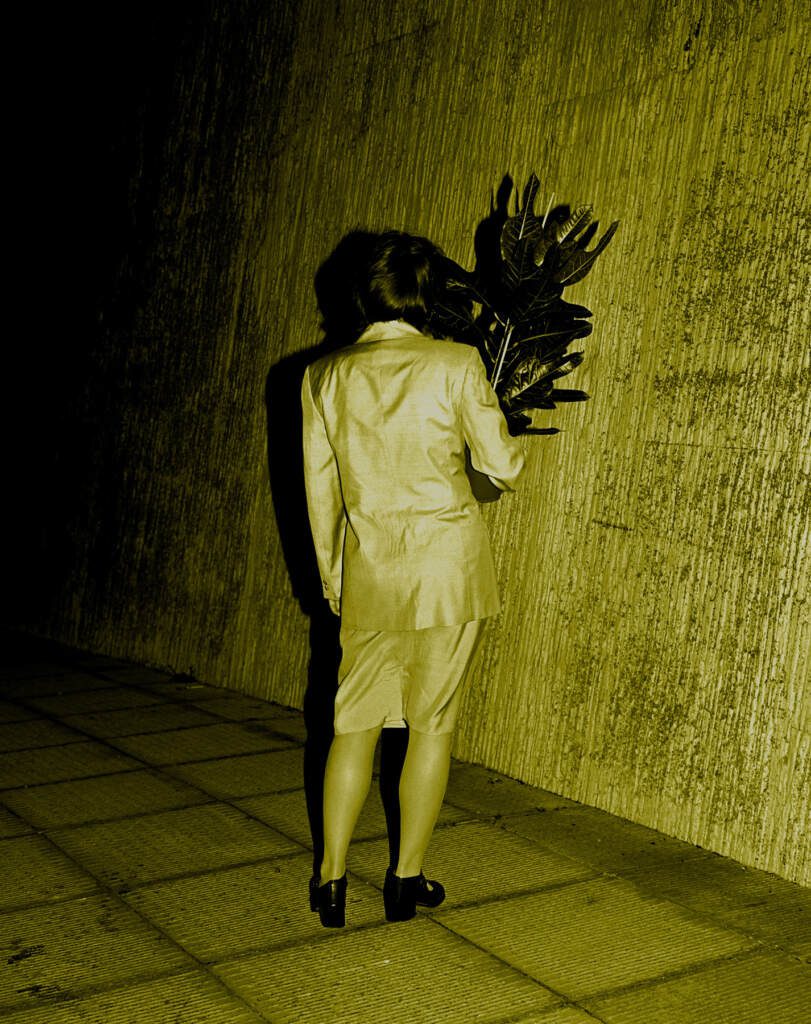 PARROTTA CONTEMPORARY ART » Clare Strand